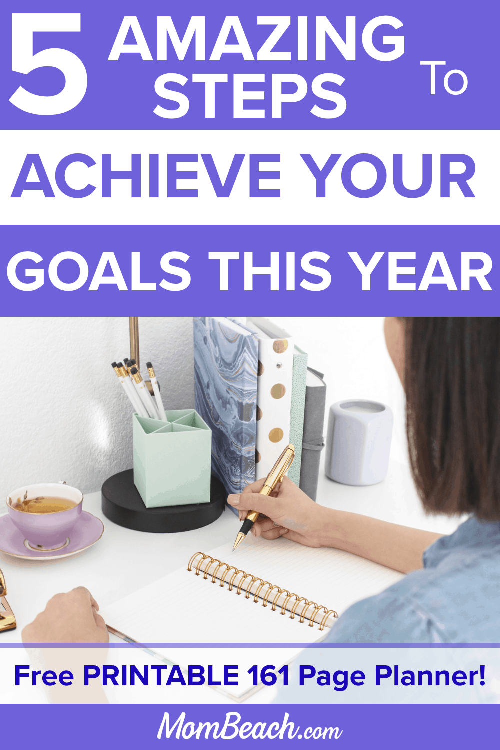 5 Steps to Achieve Your Professional Goals This Year!